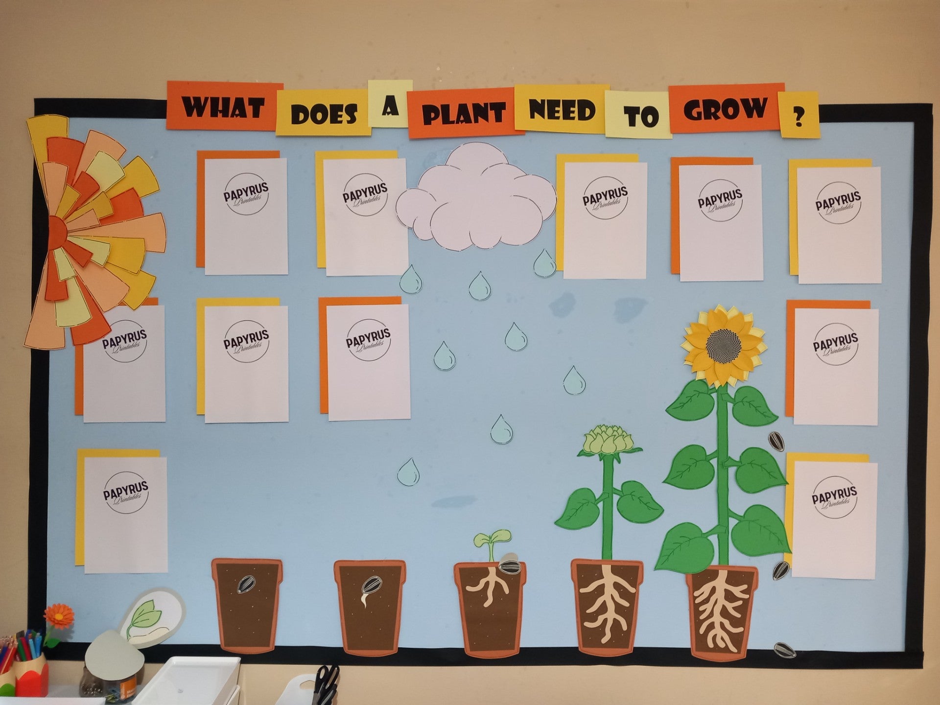 What Does a Plant Need to Grow? Display – Papyrus Prinatbles
